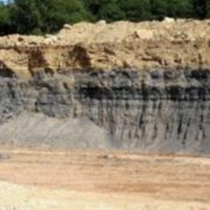 UK Geology – and root-induced subsidence (part 2 – Mudstone) | Building ...
